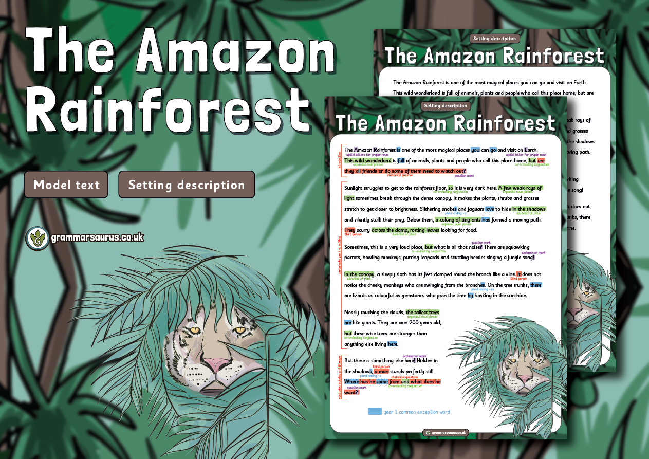 Year 1 Model Text – Setting description – The Amazon Rainforest ...