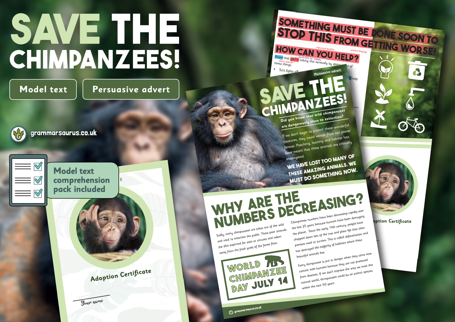 Year 2 Model Text – Persuasive advert – Save the Chimpanzees ( gbsct P2 ...