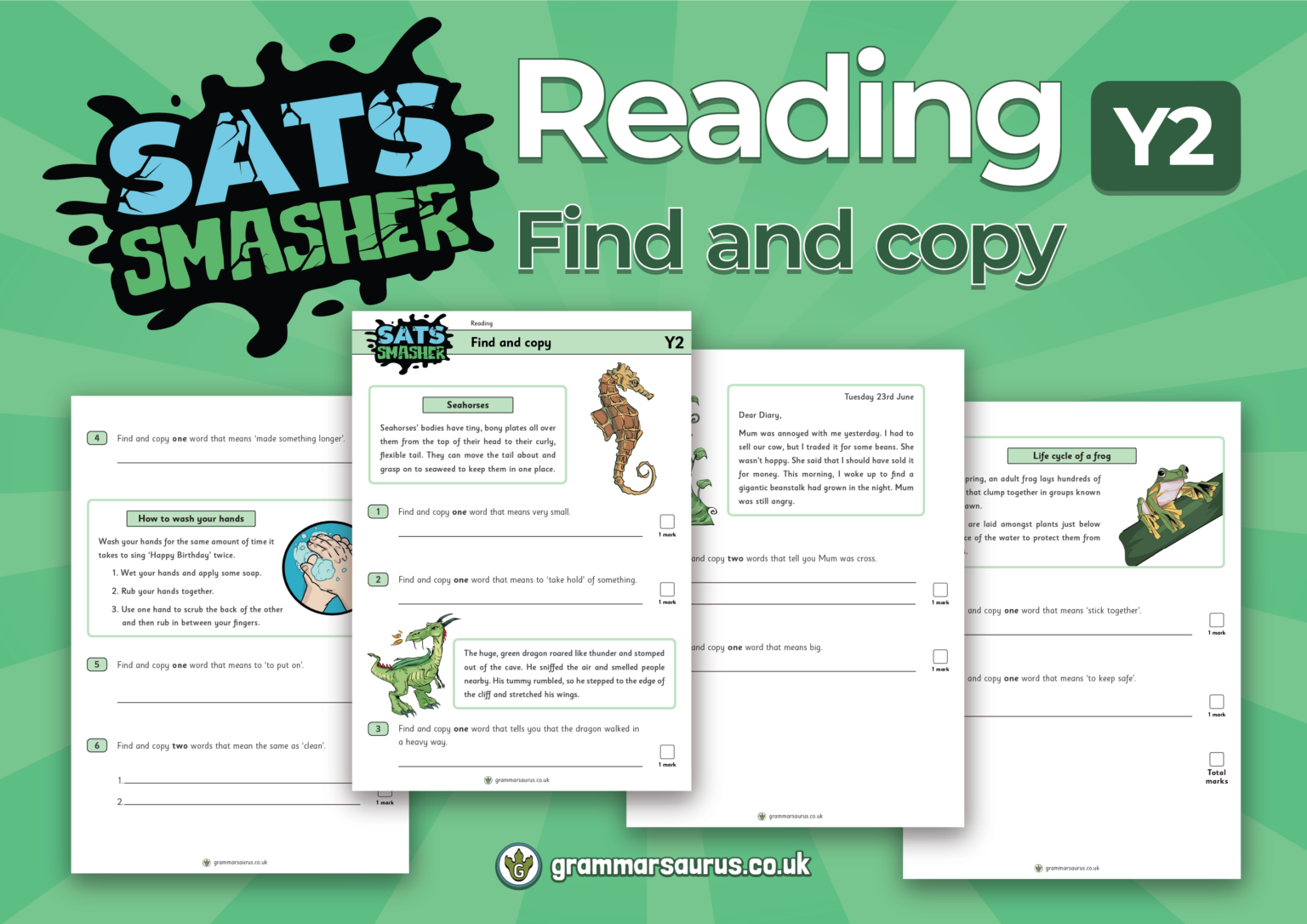 Y2 SATs Smasher (Reading): Find and Copy - Grammarsaurus