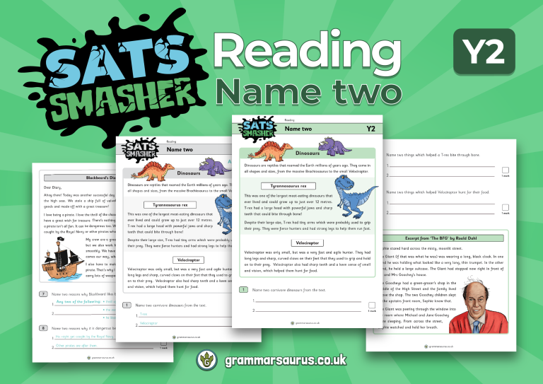 Y2 SATs Smasher (Reading): Name two - Grammarsaurus