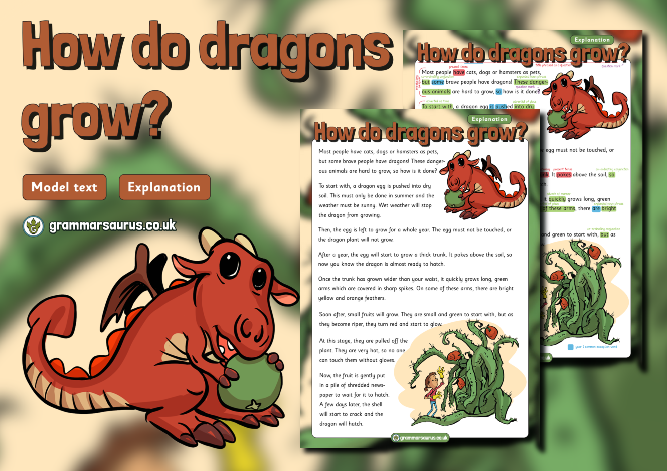 Year 1 Model Text – Explanation – How do dragons grow? ( gbsct P1 ...