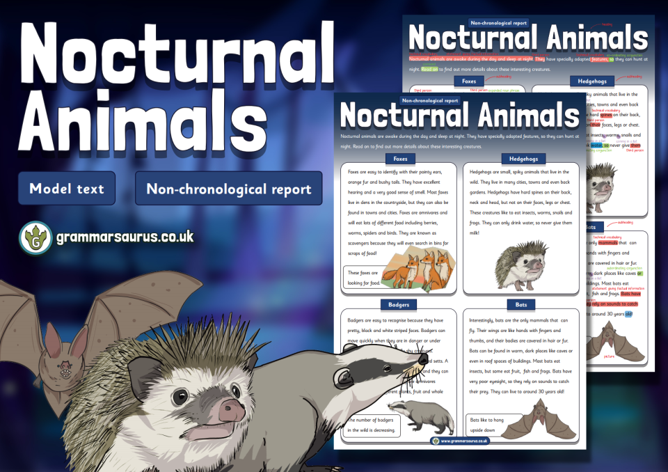Year 2 Model Text – Non-chronological report – Nocturnal Animals ...