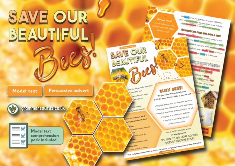 Year 3 Model Text - Persuasive Advert - Save our Beautiful Bees ...