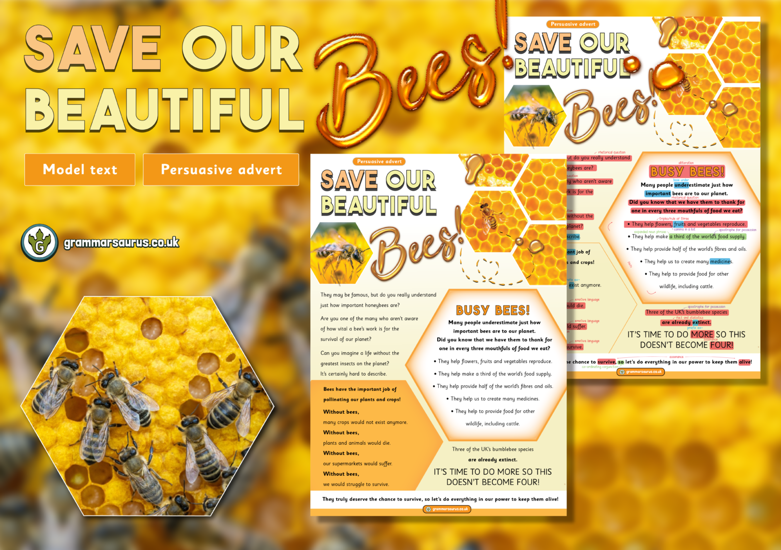 Year 3 Model Text - Persuasive Advert - Save our Beautiful Bees ...