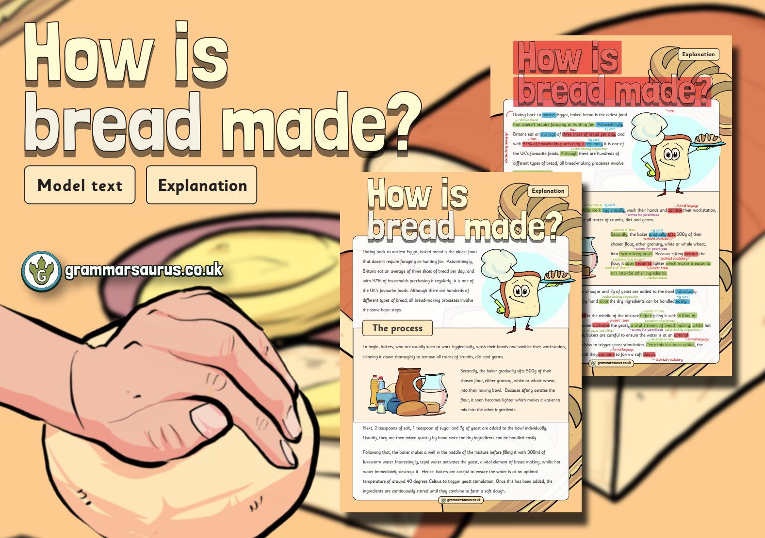 Year 5 Model Text – Explanation – How is bread made? - Grammarsaurus