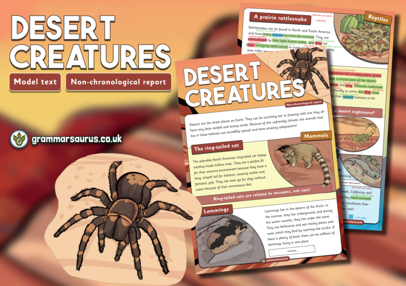 Year 3 Model Text – Non-chronological report – Desert Creatures ...