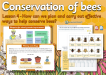 Year 3 Geography – Conservation of Bees – How can we plan and carry out ...
