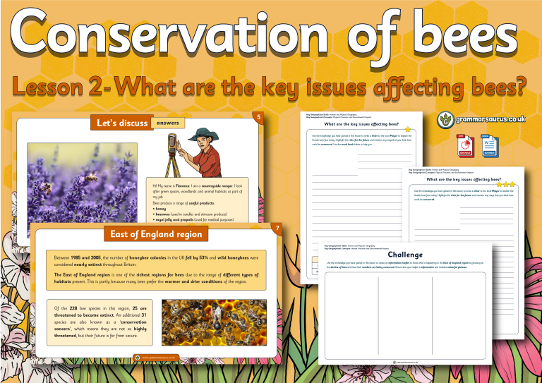 Year 3 - Conservation of Bees (Fieldwork Unit) - Grammarsaurus