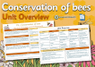 Year 3 Geography - Conservation of Bees - Unit Overview - Grammarsaurus
