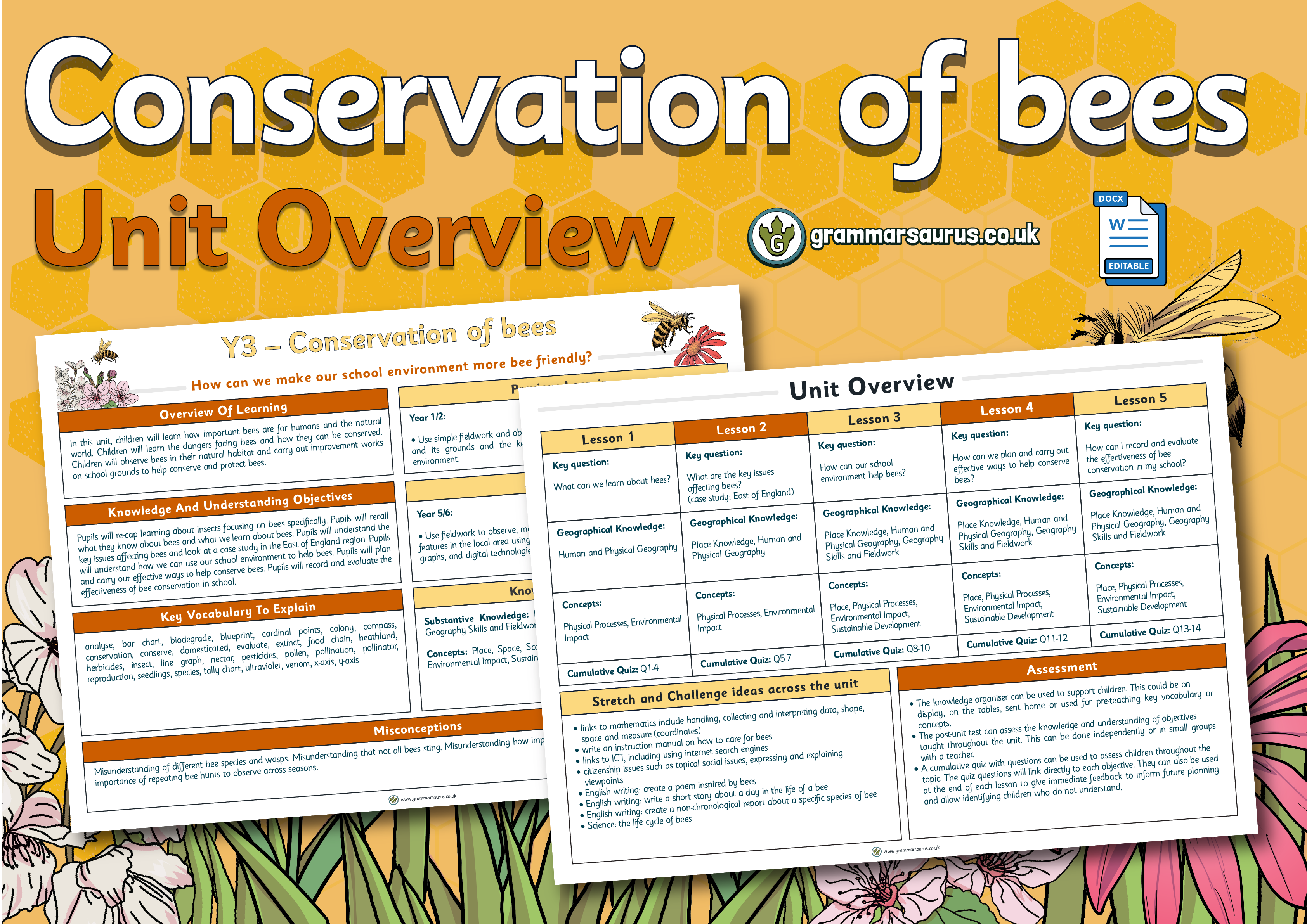 Year 3 Geography - Conservation of Bees - Unit Overview - Grammarsaurus