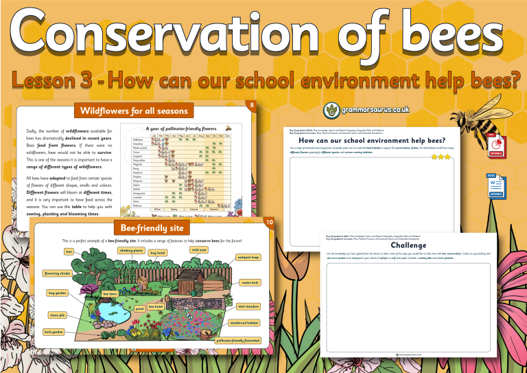 Year 3 - Conservation of Bees (Fieldwork Unit) - Grammarsaurus