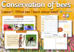 Year 3 Geography - Conservation of Bees - What can we learn about bees ...