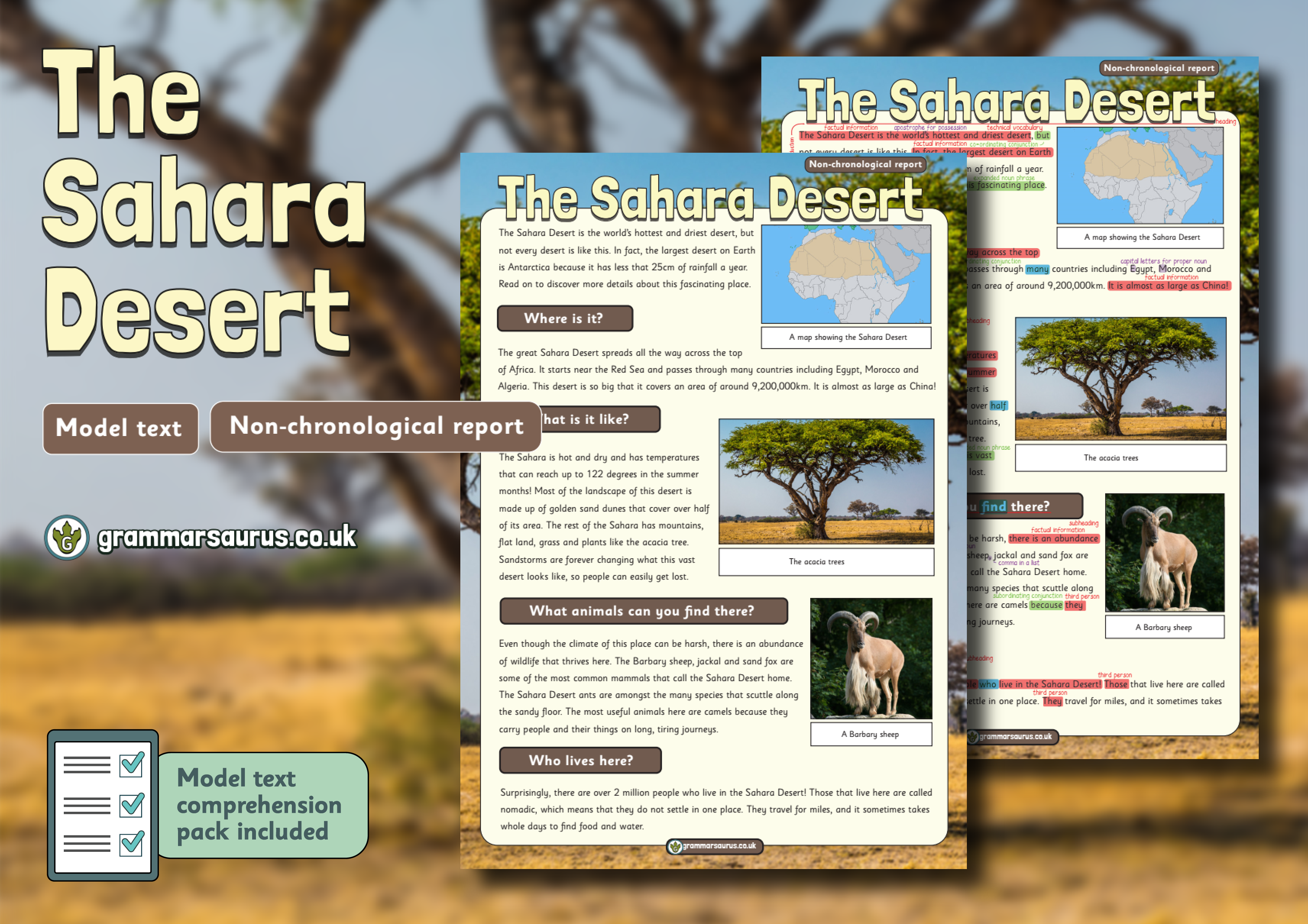 Year 2 Model Text – Non-chronological report – The Sahara Desert ...