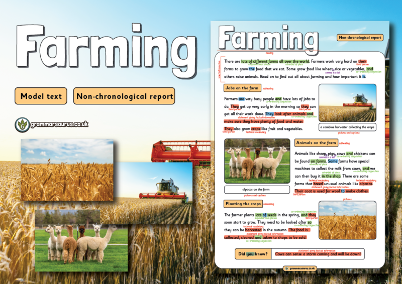 Year 1 Model Text – Non-chronological report – Farming - Grammarsaurus