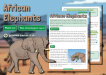 Year 2 Model Text – Non-chronological report – African Elephants ...