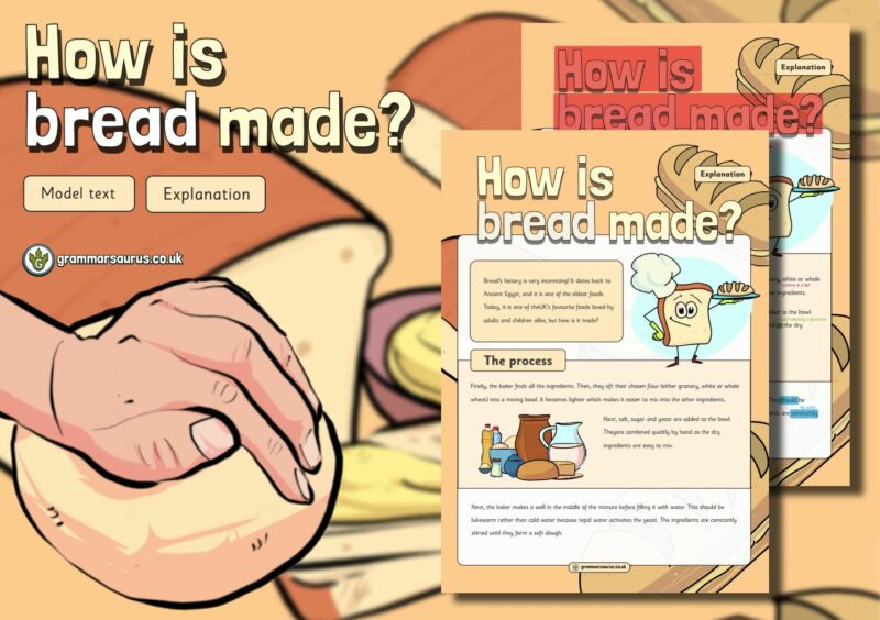Year 2 Model Text – Explanation – How is bread made? - Grammarsaurus
