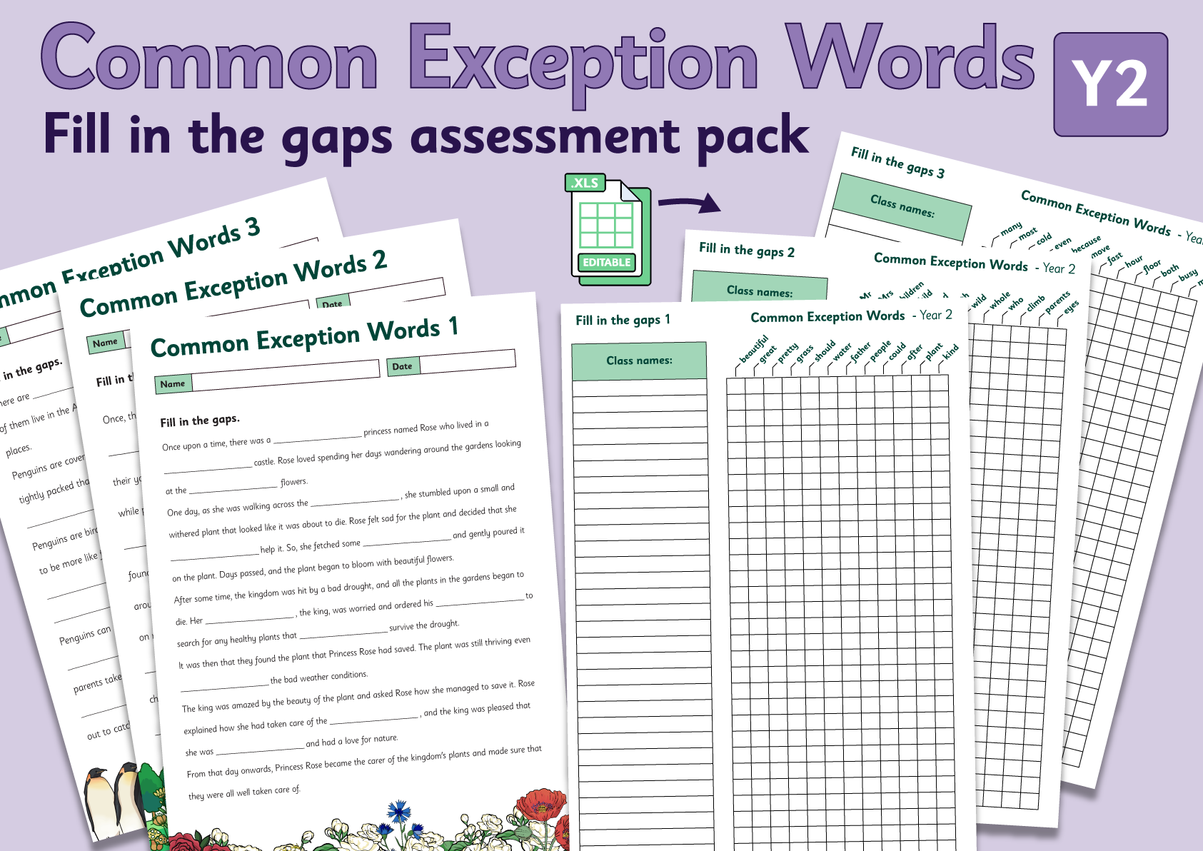 Year 2 Common Exception Words - Fill in the Gaps Assessment Pack ...