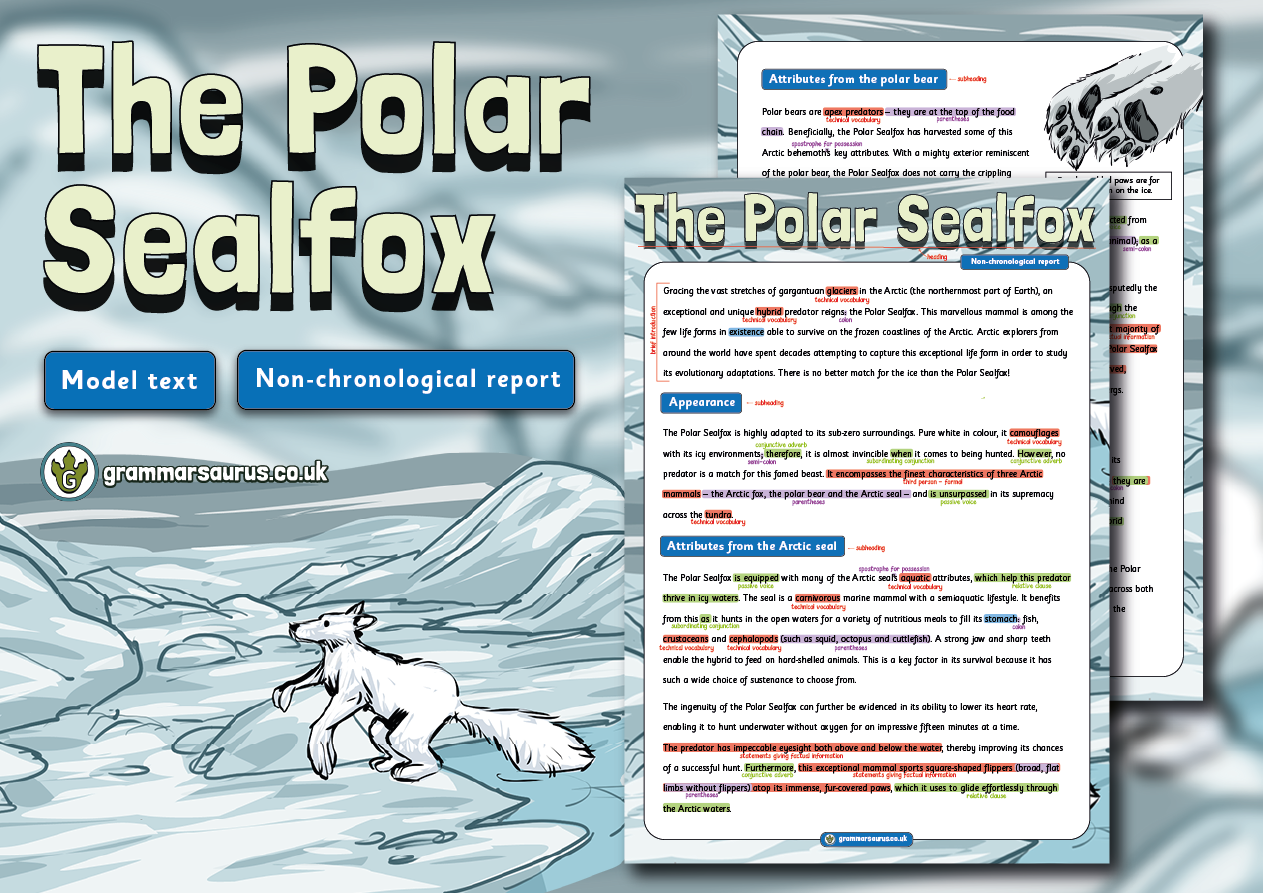 Year 6 Model Text – Non-chronological report – The Polar Sealfox ...