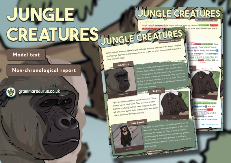 Year 1 Model Text – Non-chronological report – Jungle Creatures ...