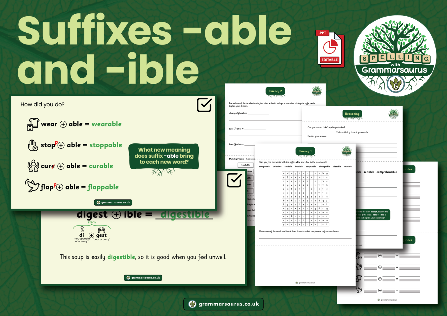 Y4 Objective 14 (Suffixes -able and -ible) - Grammarsaurus