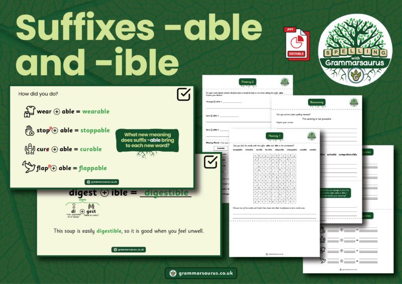 Y4 Objective 13 (Suffixes -able and -ible) - Grammarsaurus