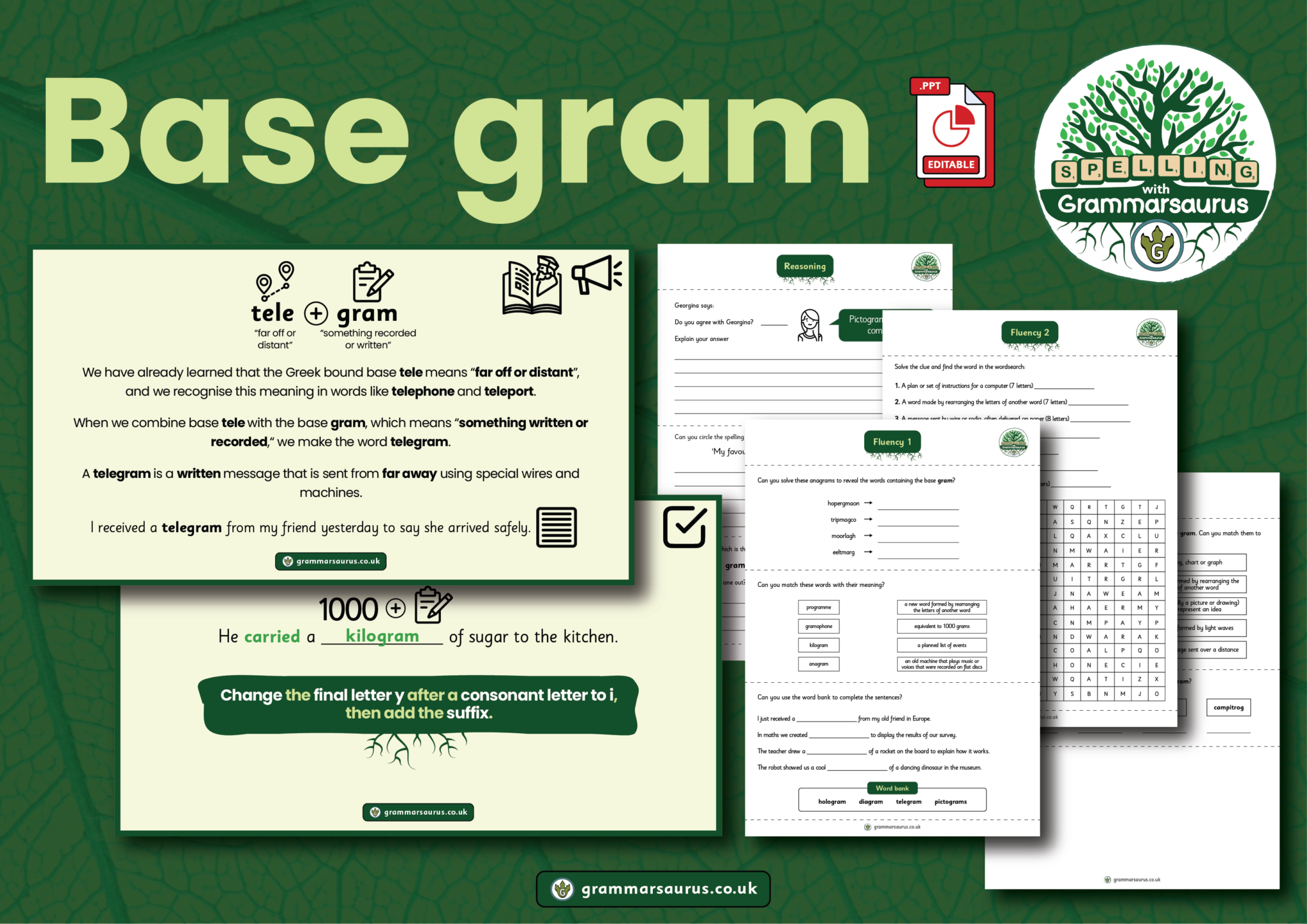 Y4 Objective 15 (Base gram) - Grammarsaurus