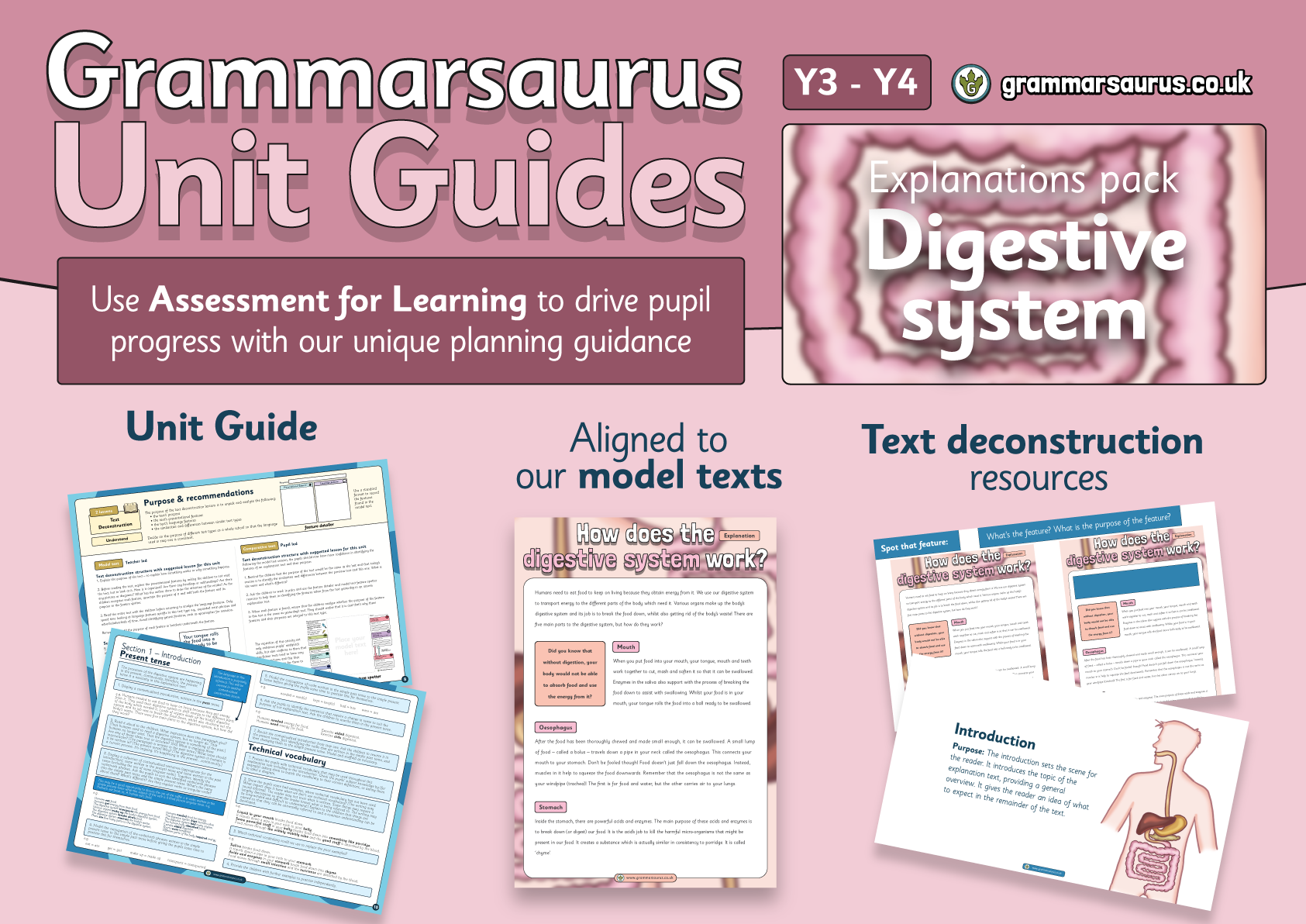 Y3/4 Unit Guide – Explanation (Digestive System) - Grammarsaurus