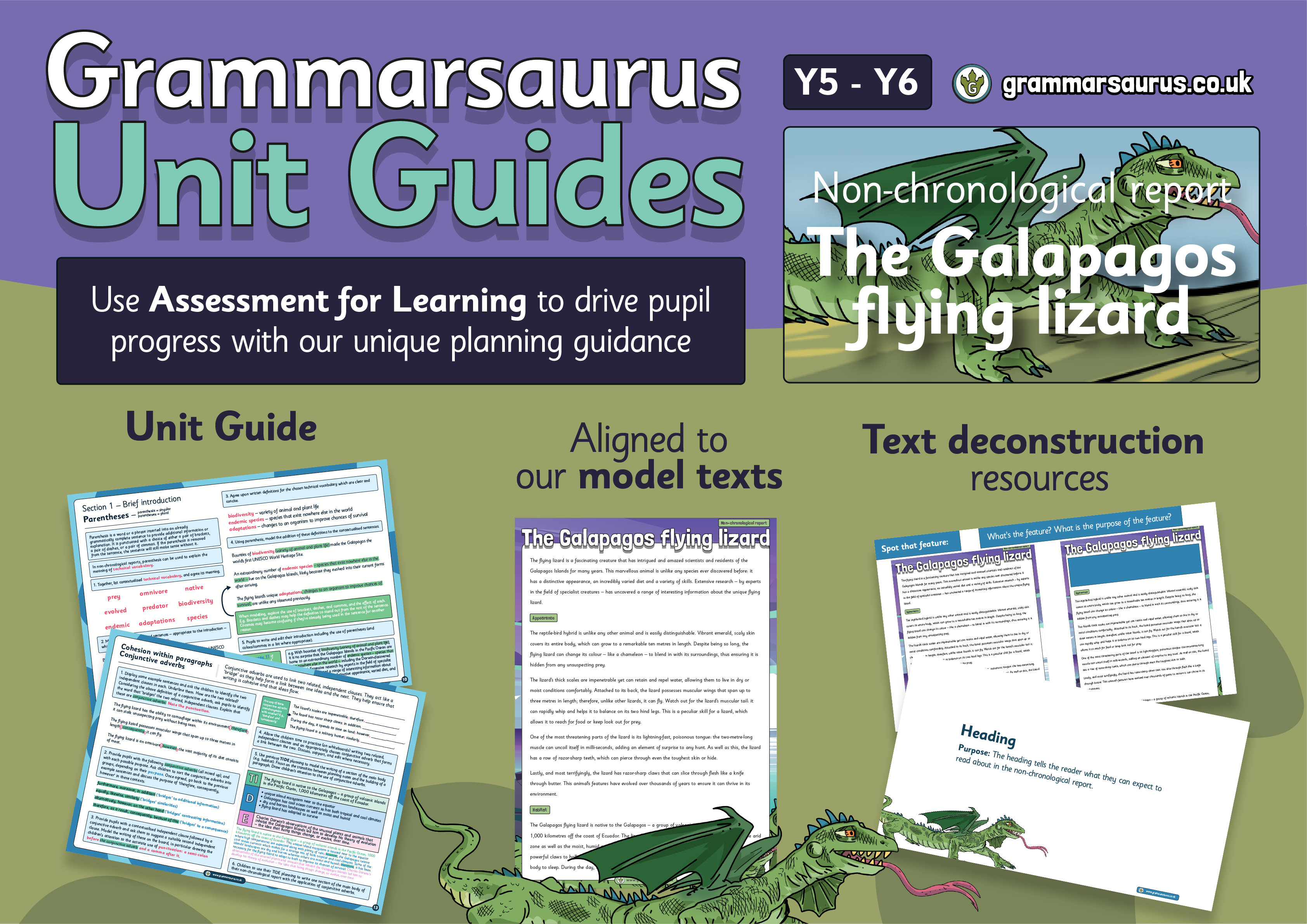 web ad - Grammarsaurus