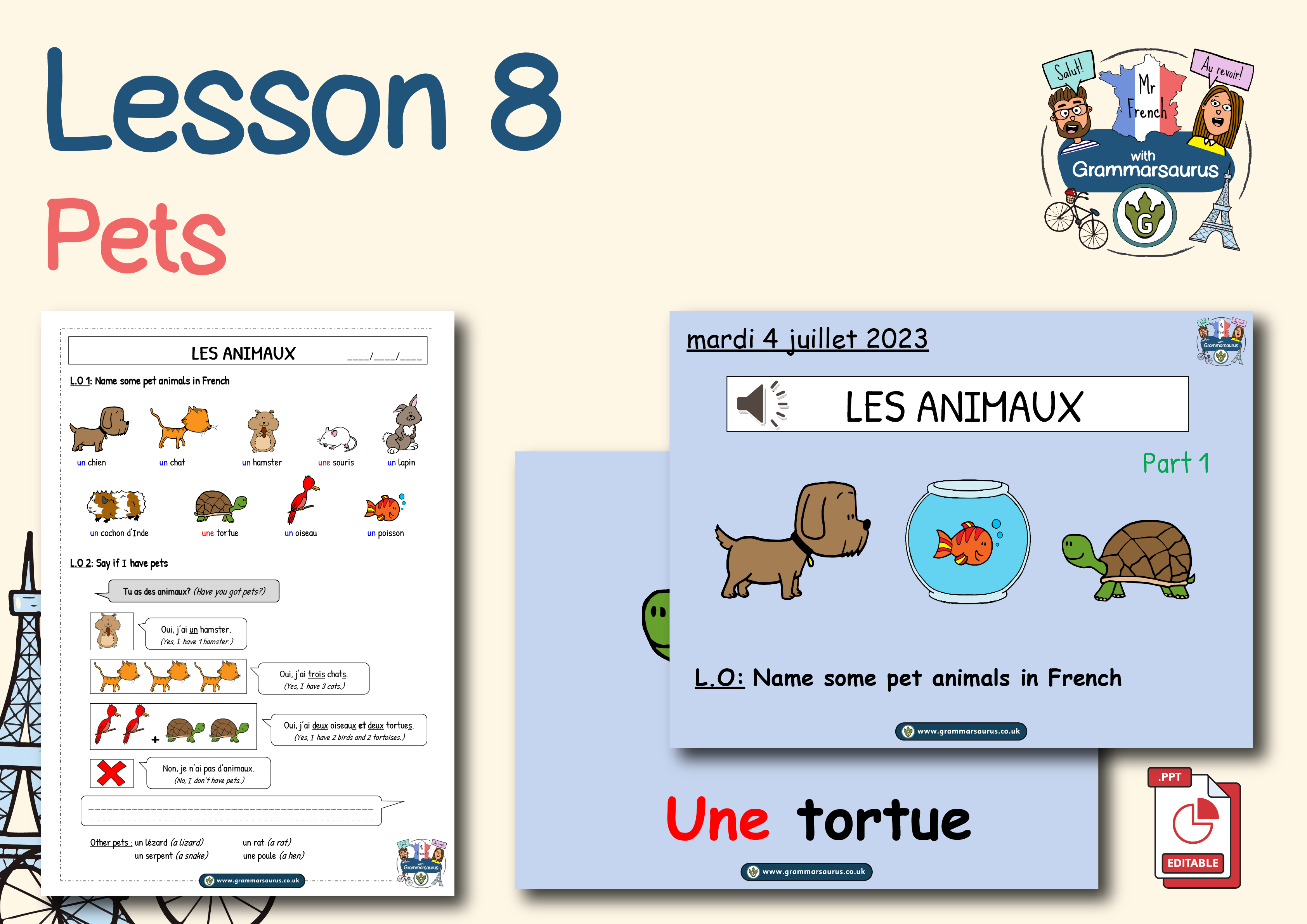 Year 4,5,6 French for Beginners – Pets – Lesson 8 - Grammarsaurus