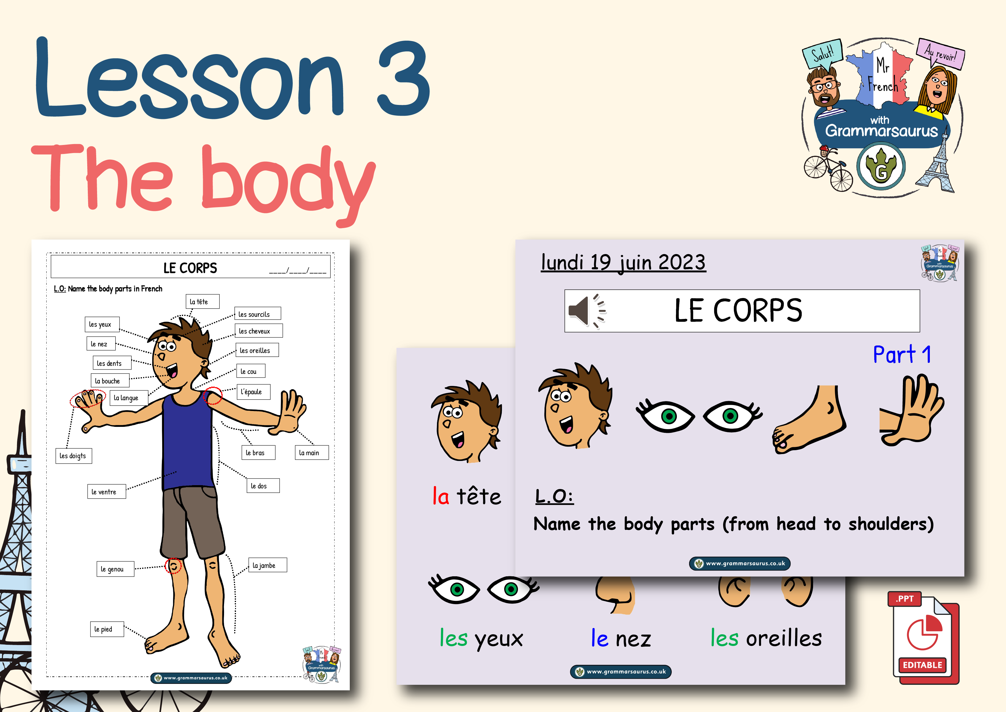 Year 5 French – The body – Lesson 3 - Grammarsaurus