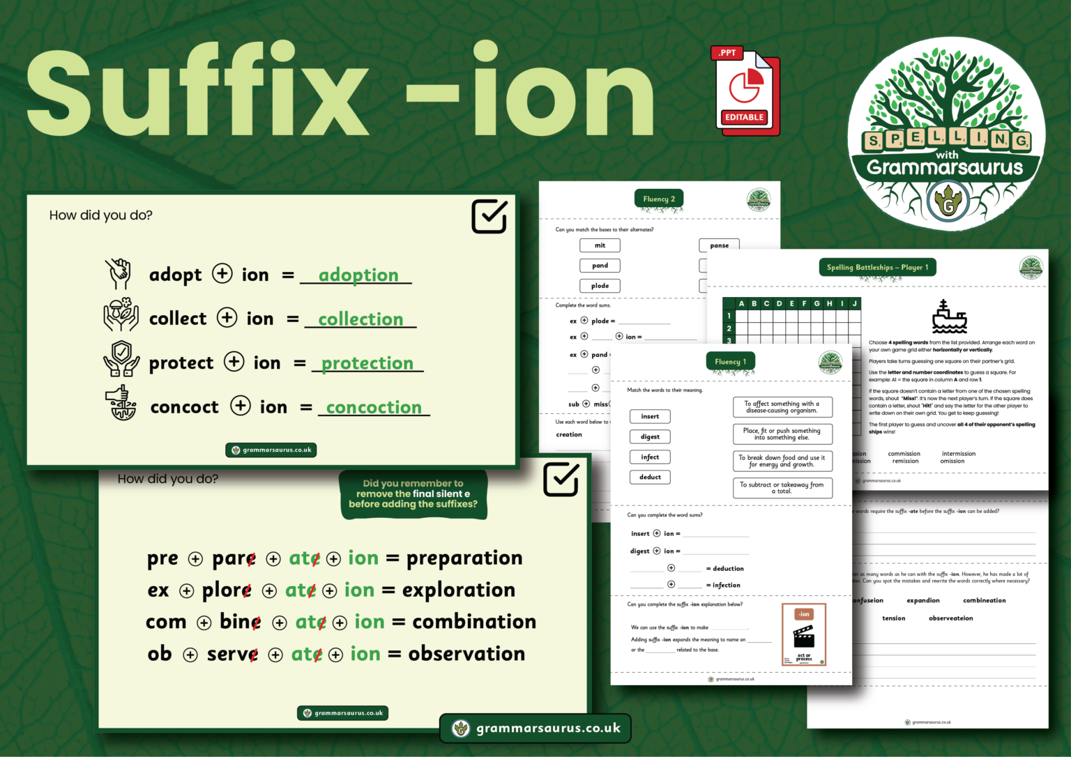 Y4 Objective 9 (Suffix -ion) - Grammarsaurus