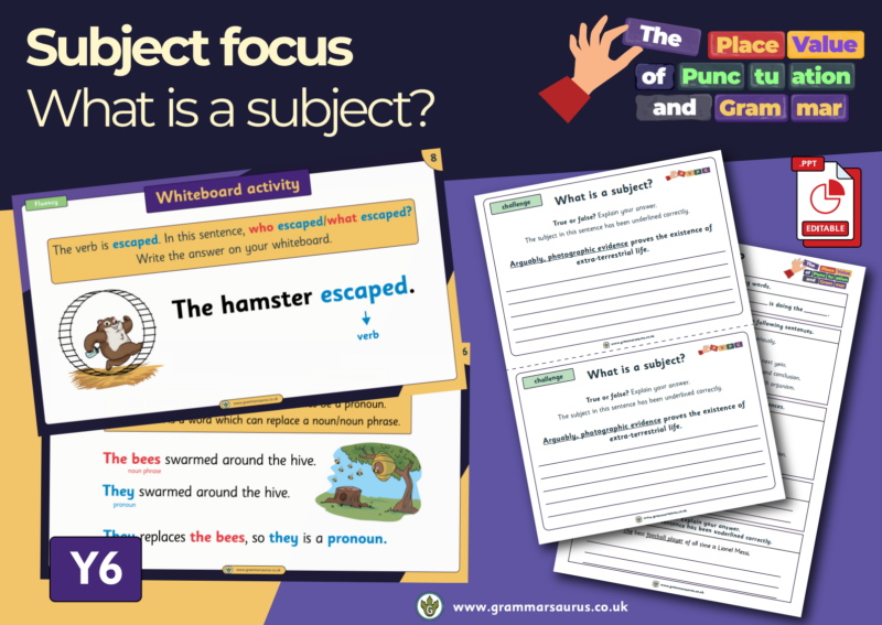 Y6 PVPG Unit - Page 2 of 2 - Grammarsaurus