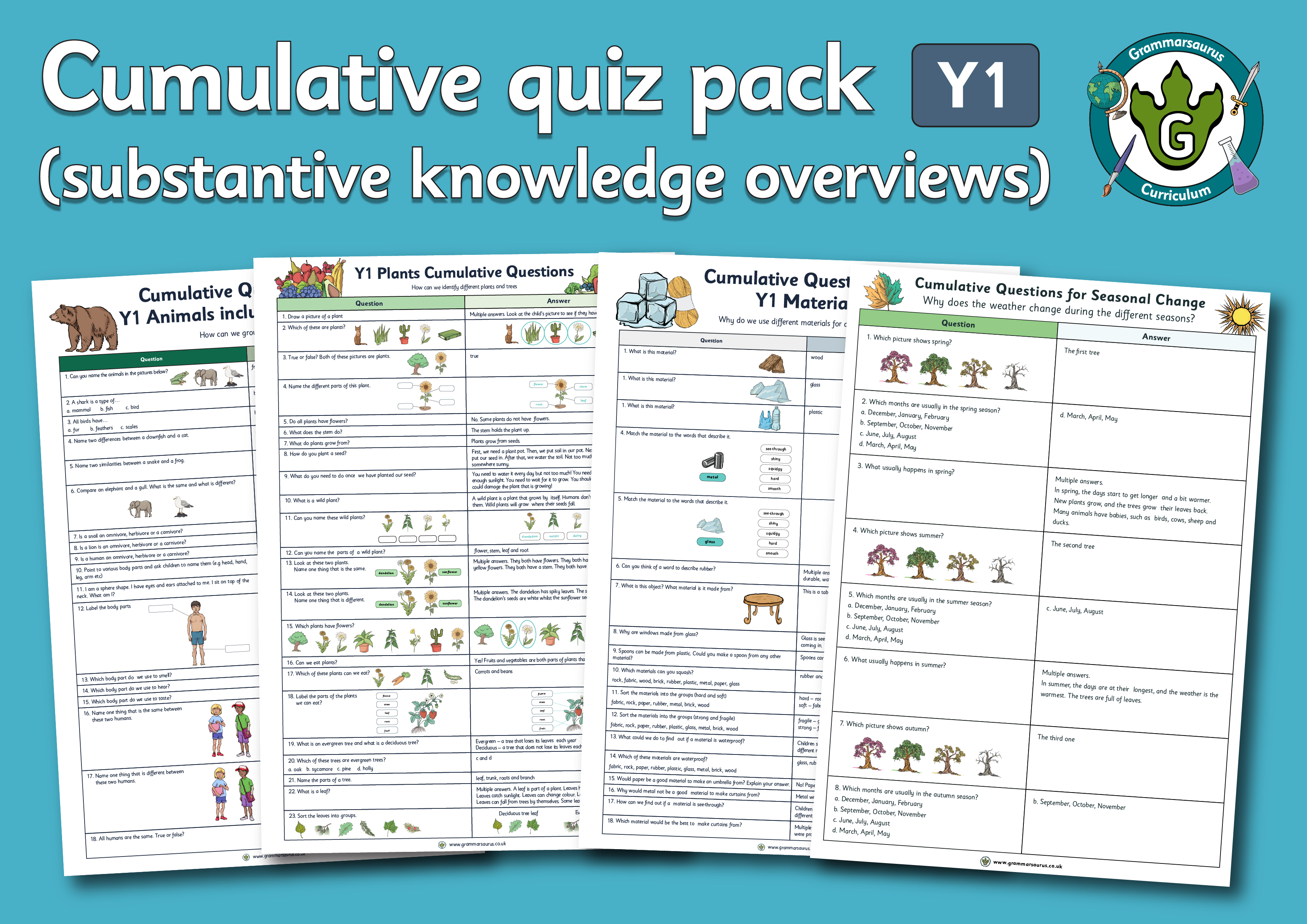 Y1 Cumulative Quiz Pack - Grammarsaurus