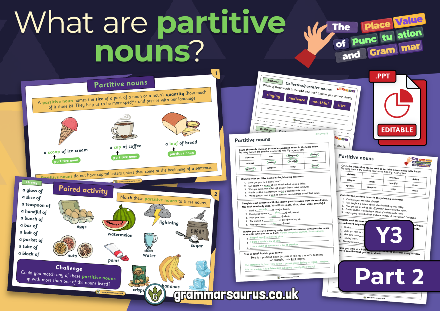 Year 3 The Place Value of Punctuation and Grammar - What are Partitive ...