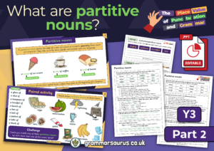 Year 3 The Place Value of Punctuation and Grammar - What are Partitive ...