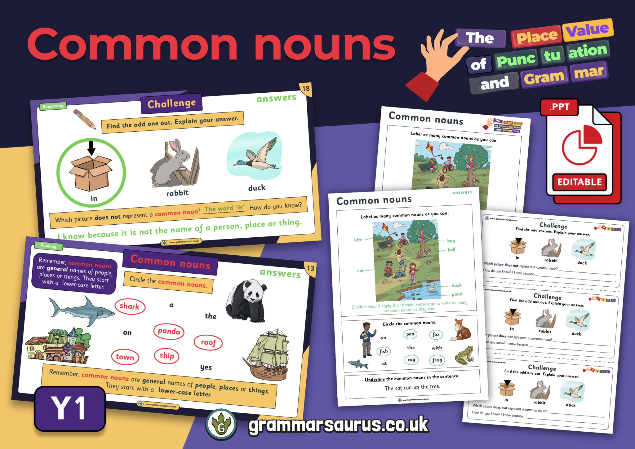 Year 1 The Place Value of Punctuation and Grammar – Common nouns - Grammarsaurus