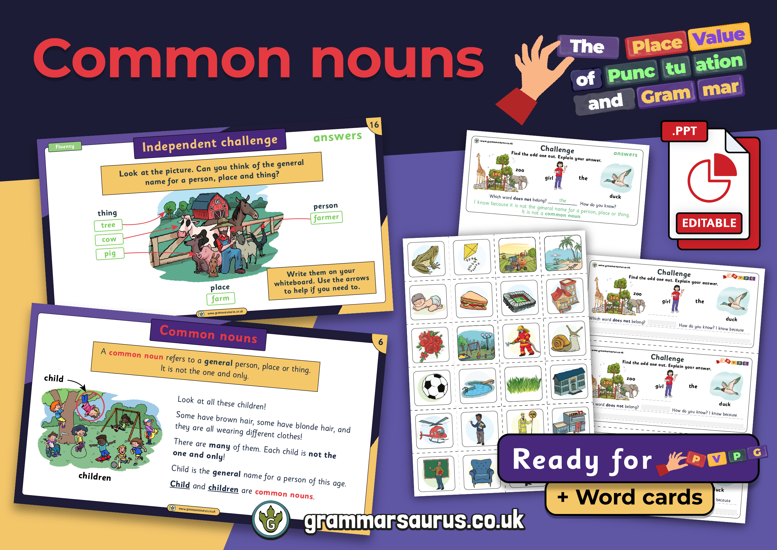 Ready for The Place Value of Punctuation and Grammar – Common nouns ...