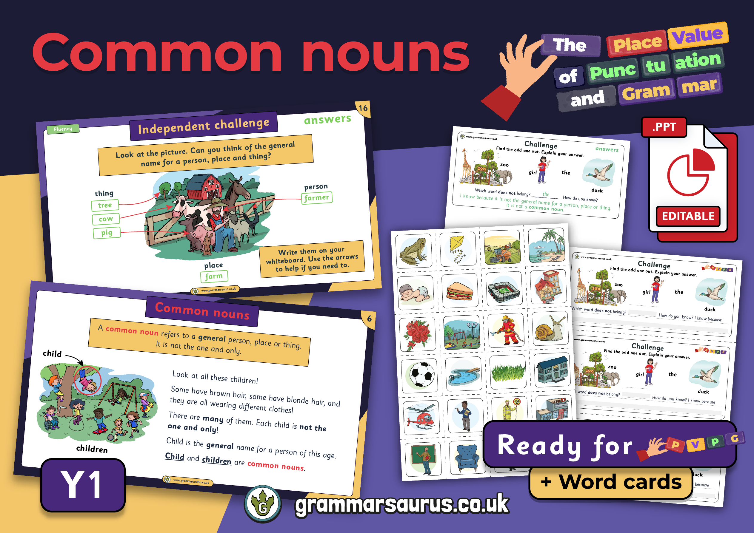 website ad (6) - Grammarsaurus