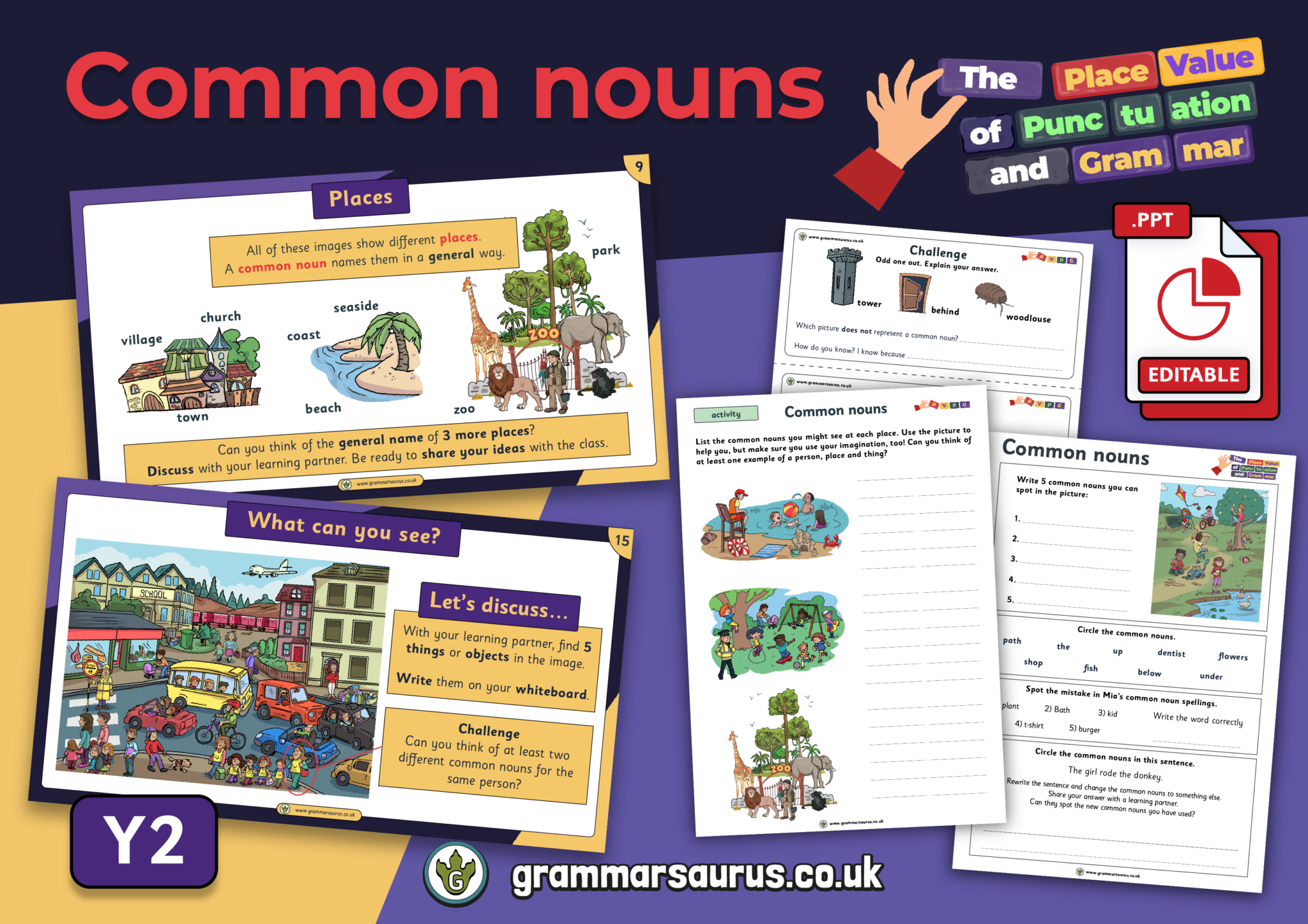 Year 2 The Place Value of Punctuation and Grammar – Common nouns ...