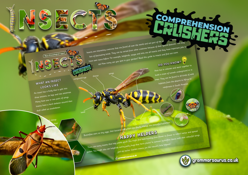 website ad (9) - Grammarsaurus