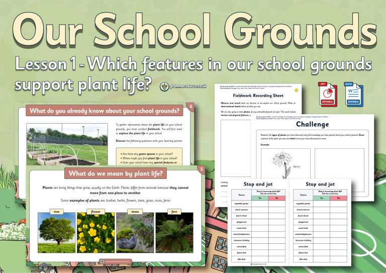 Year 1 Geography – Our School Grounds – Which features in our school ...