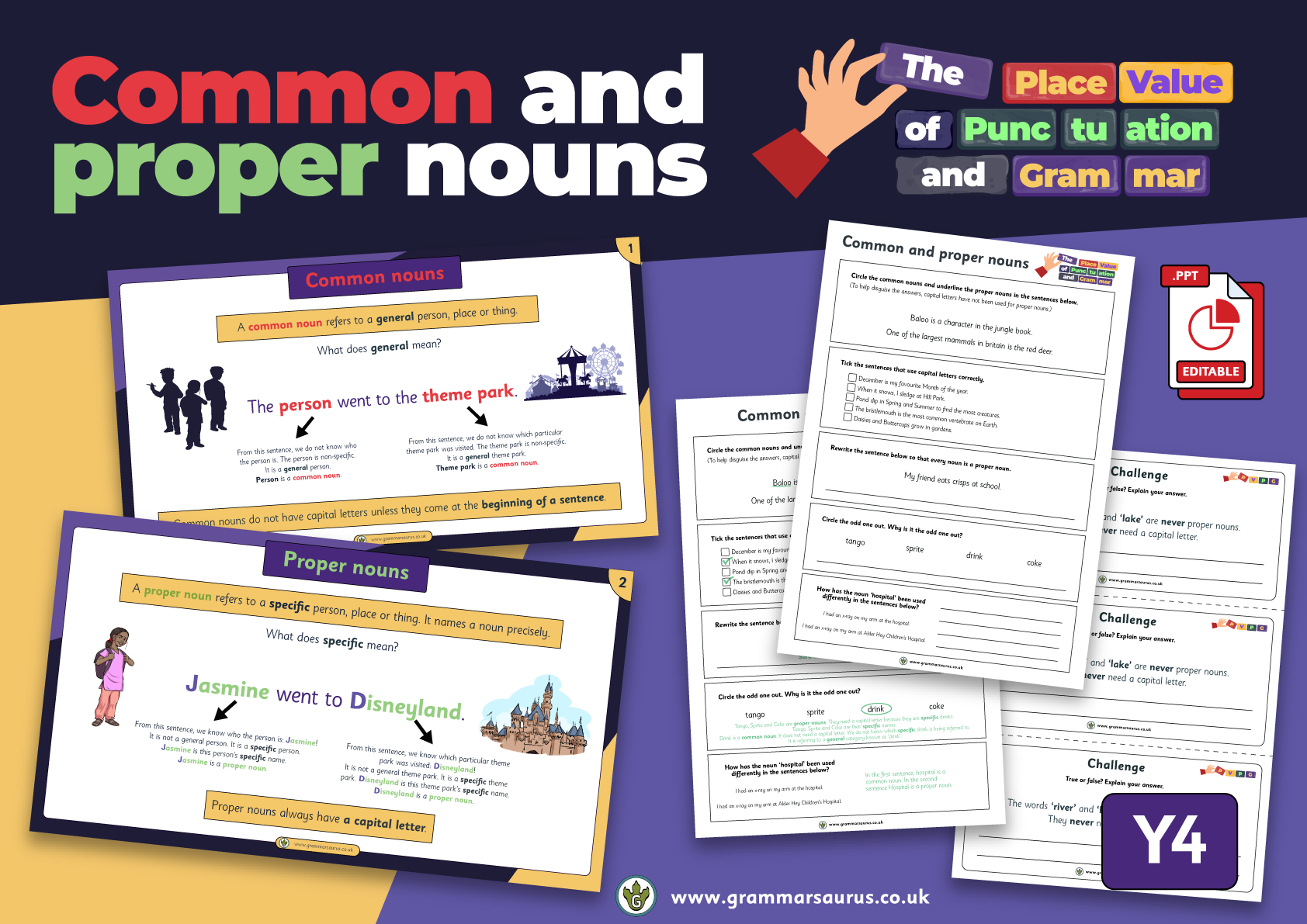 Year 4 The Place Value of Punctuation and Grammar - Common and Proper ...