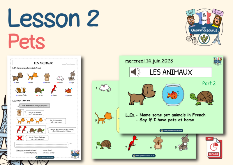 Year 4 French – Pets – Lesson 2 - Grammarsaurus