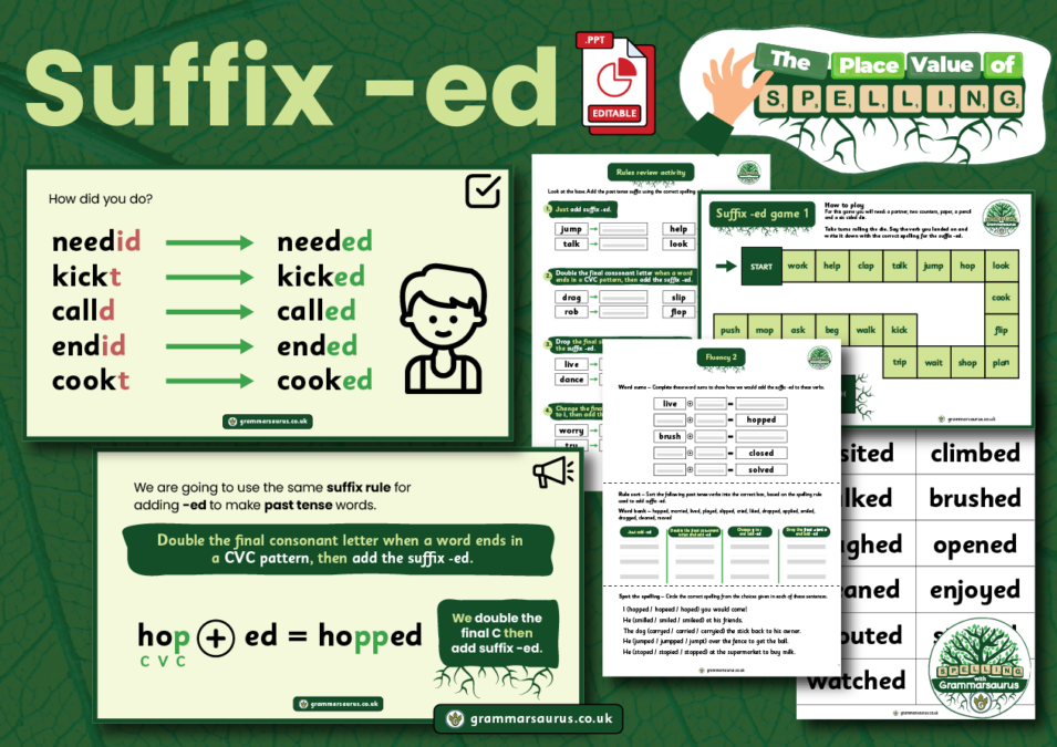 Y2 Objective 6 (Suffix -ed) - Grammarsaurus