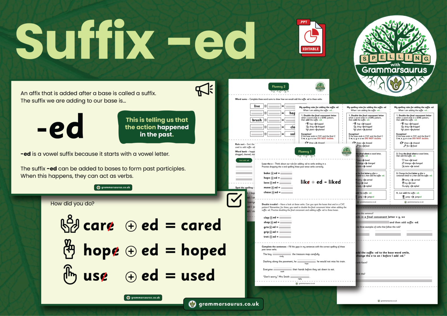 Y2 Objective 6 (Suffix -ed) - Grammarsaurus