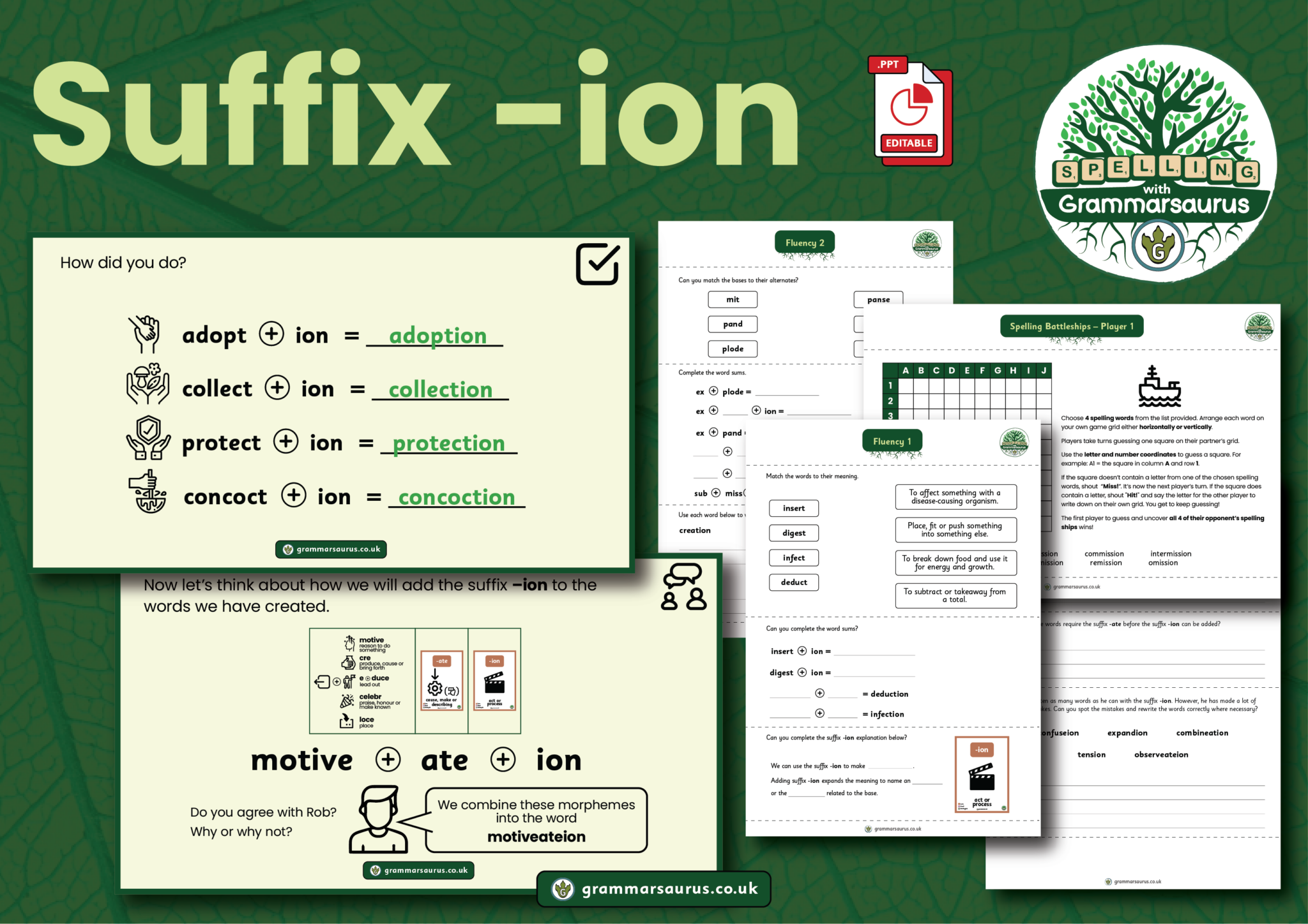 Y4 objective 9 (Suffix -ion) - Grammarsaurus