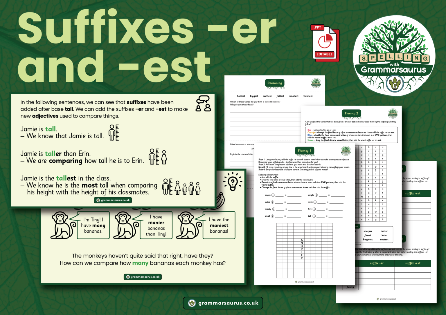Y2 - Suffixes -er and -est - Grammarsaurus