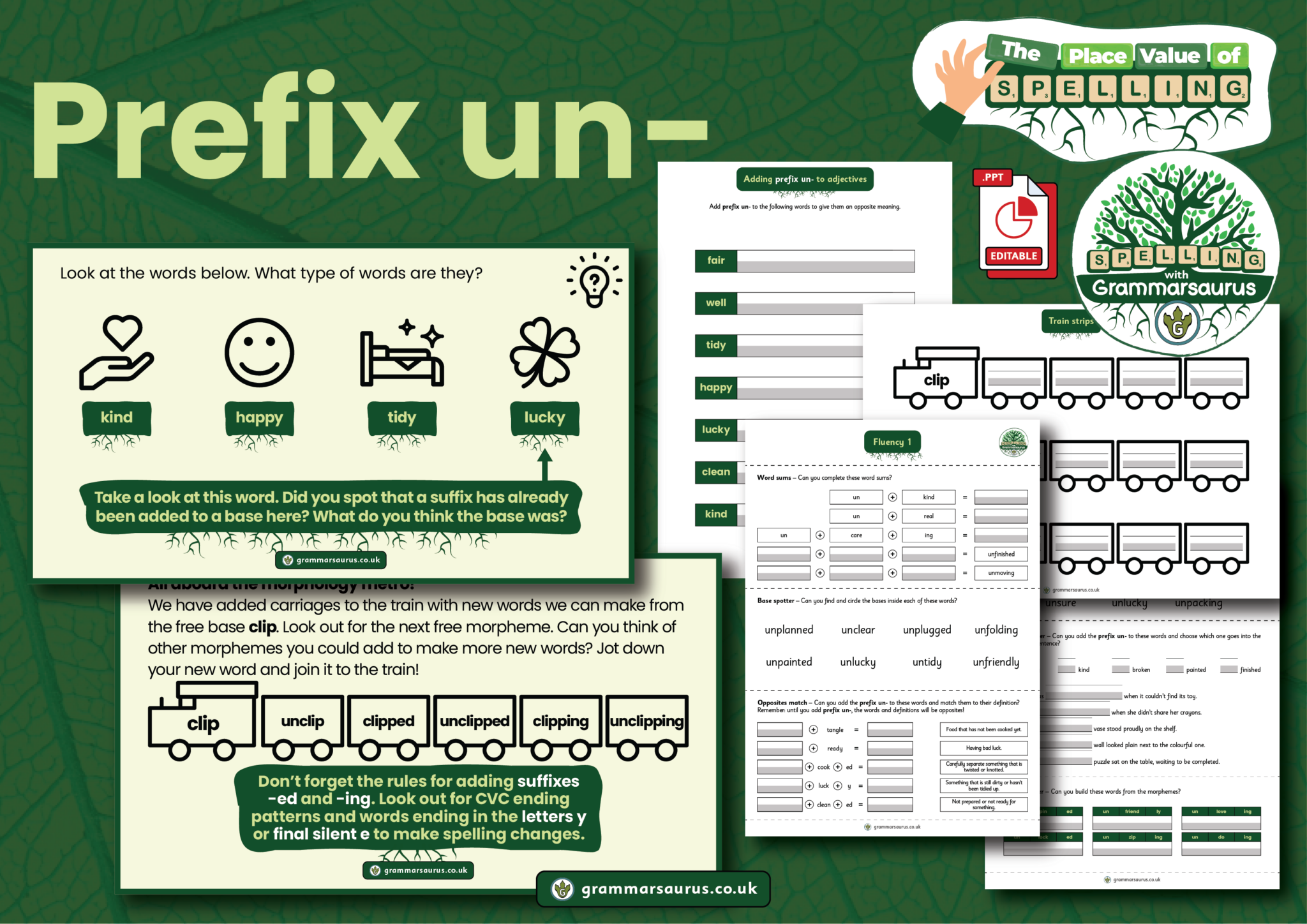 Y2 Objective 8 (Prefix un-) - Grammarsaurus