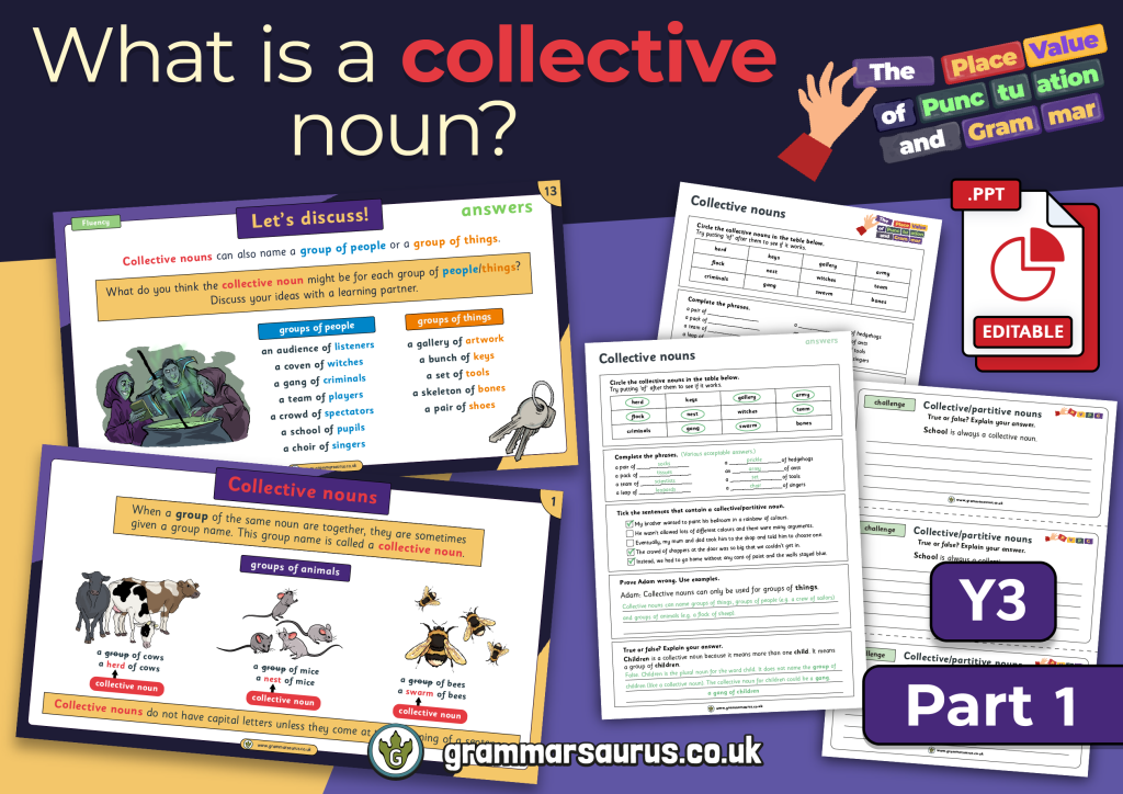 website ad (2) - Grammarsaurus