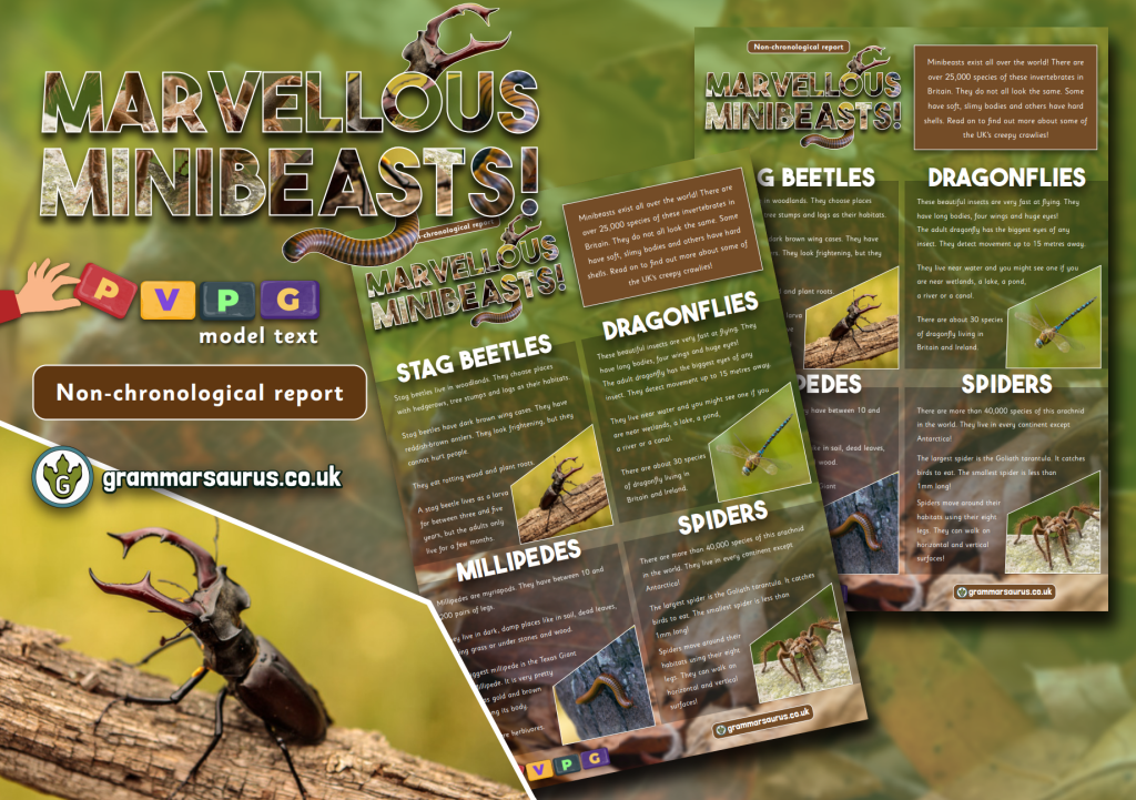 Year 2 PVPG Model Text – Non-chronological report – Marvellous ...